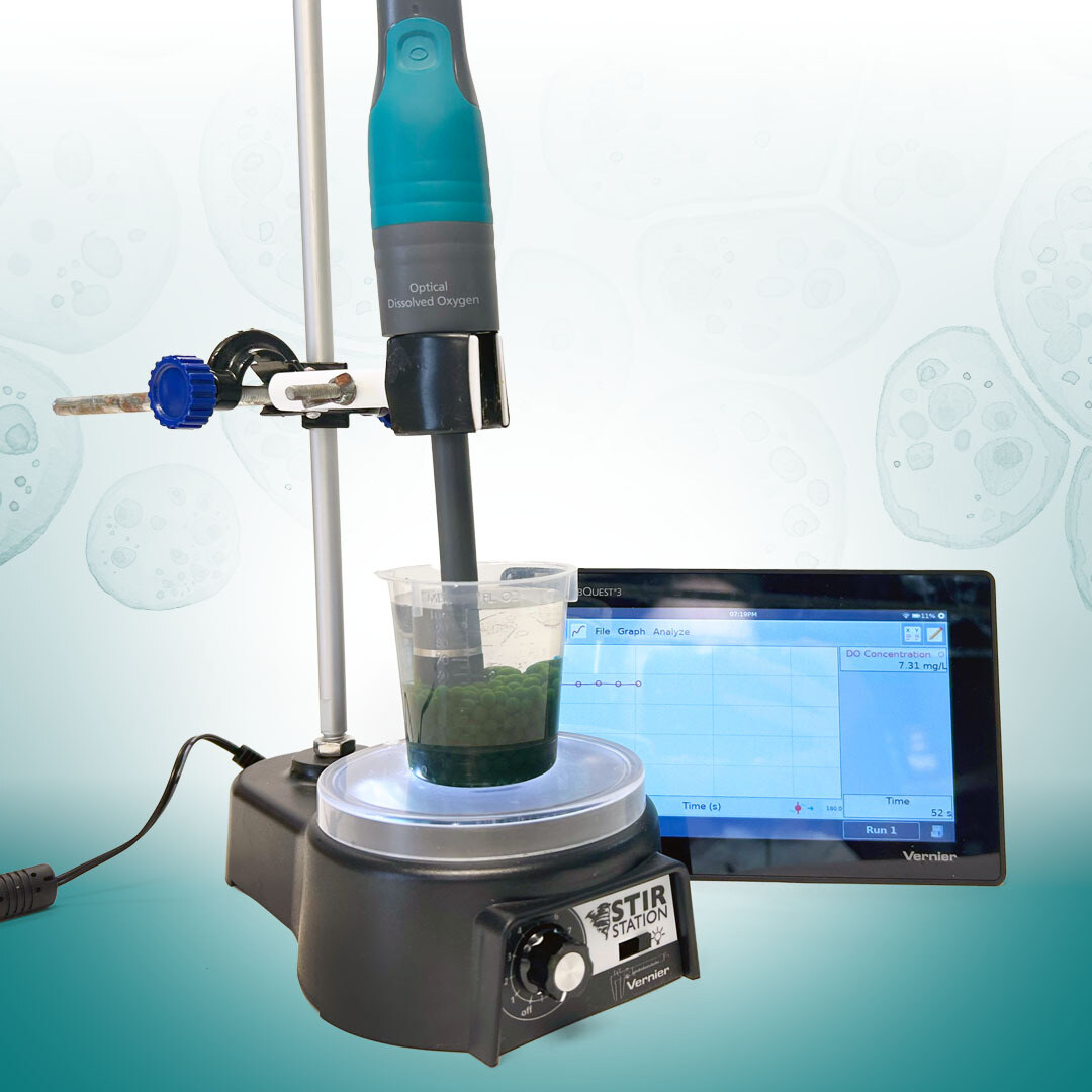 Culturing Change: Exploring Climate Science with Algae Experiments