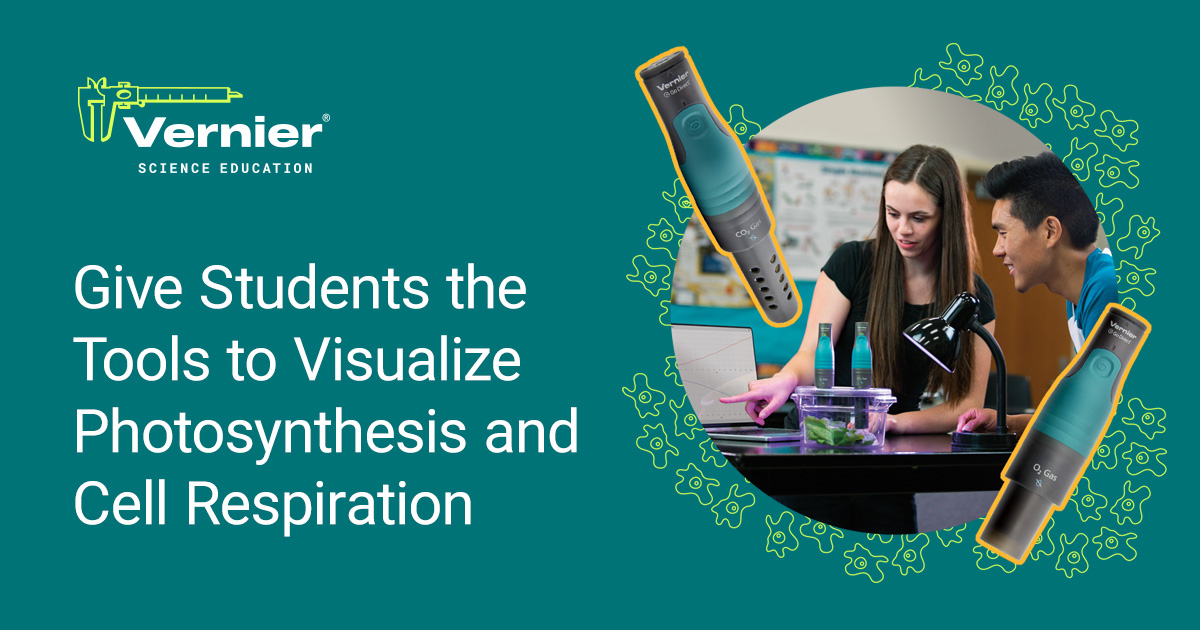Give Students Tools to Visualize Photosynthesis and Cell Respiration